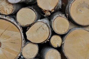 Different Types of Wood & Their Uses | Builderology